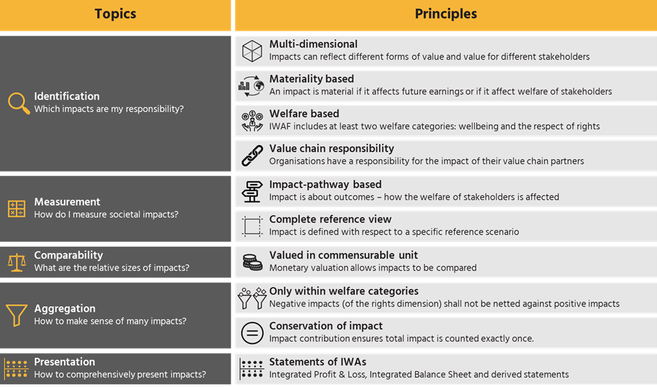The Impact-Weighted Accounts Framework - Impact Economy Foundation
